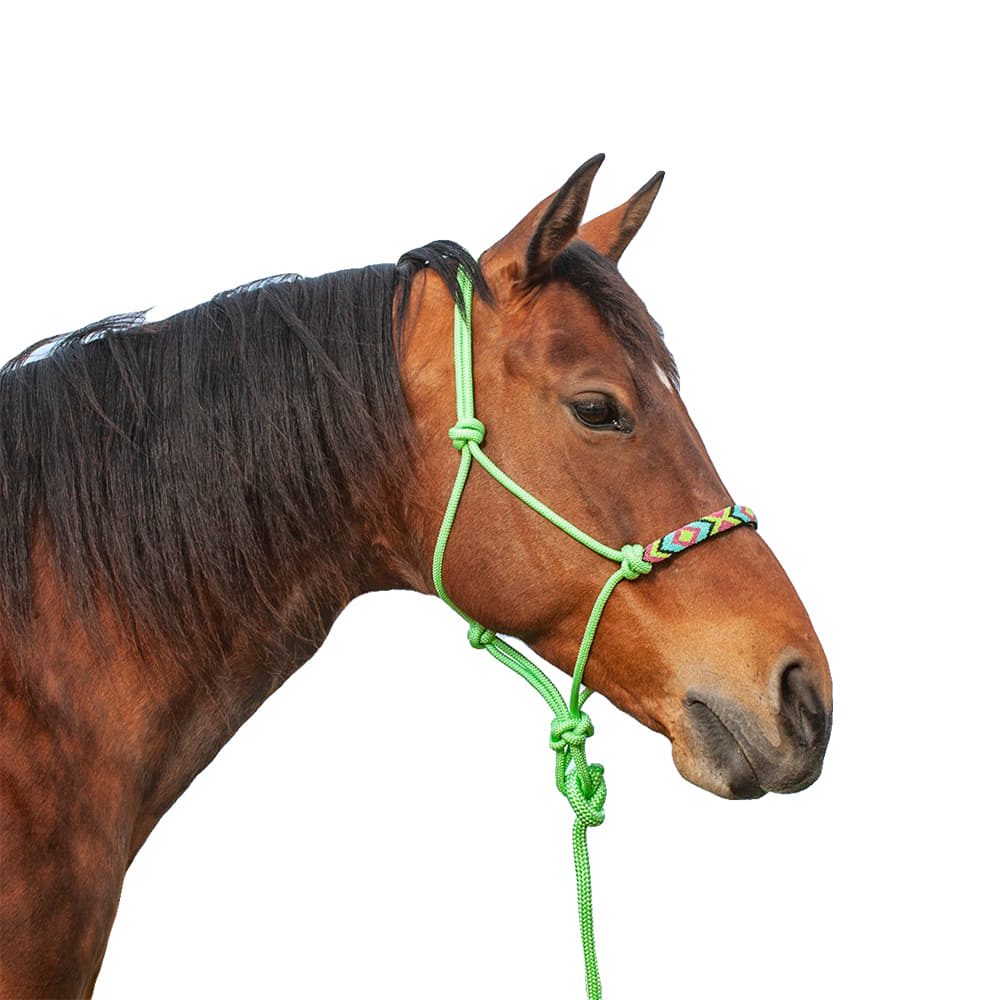 Beaded Rope Halter By Cashel